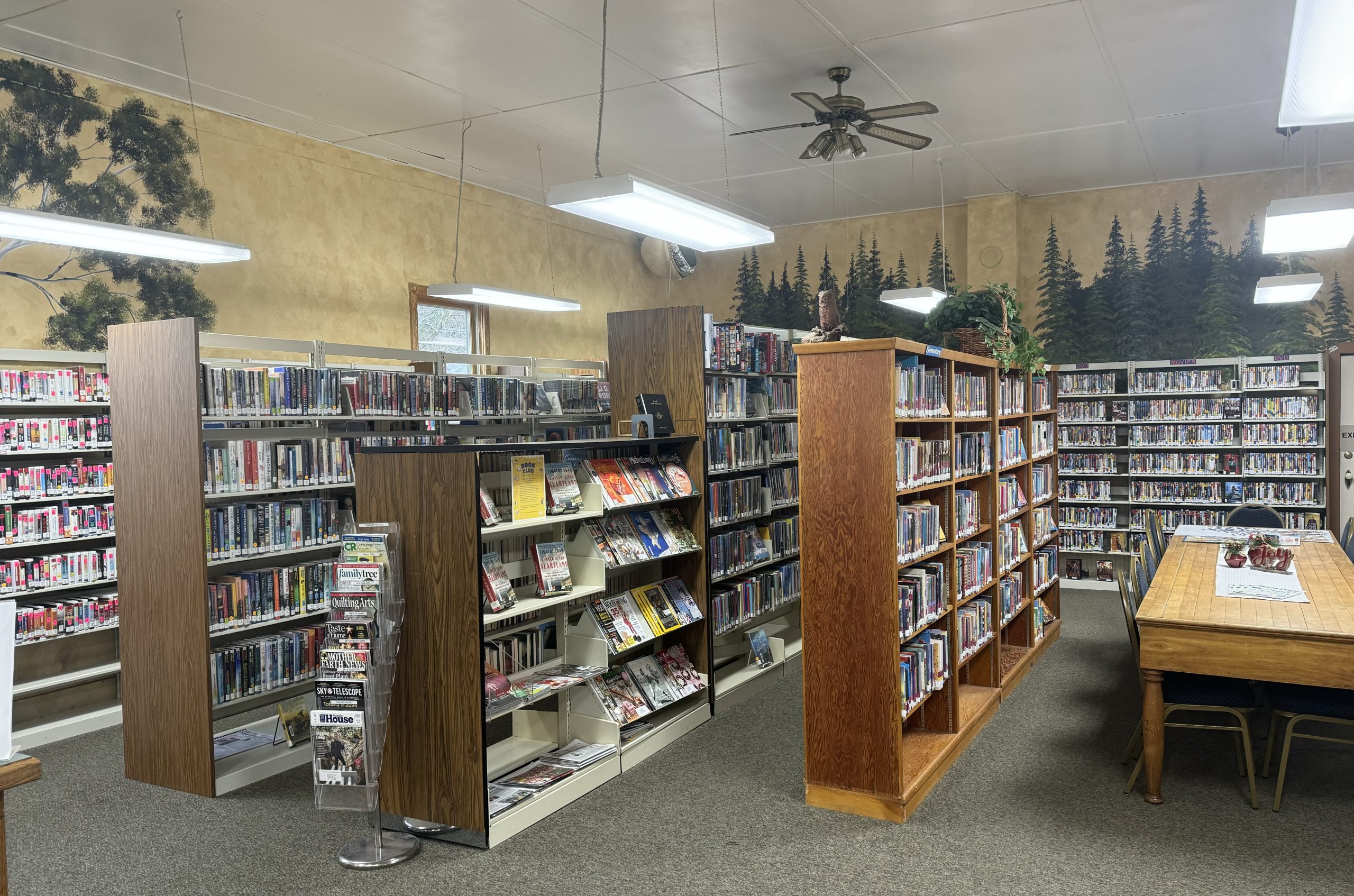 Suggest an Item for our Collection | Pine River Library of Leon and ...
